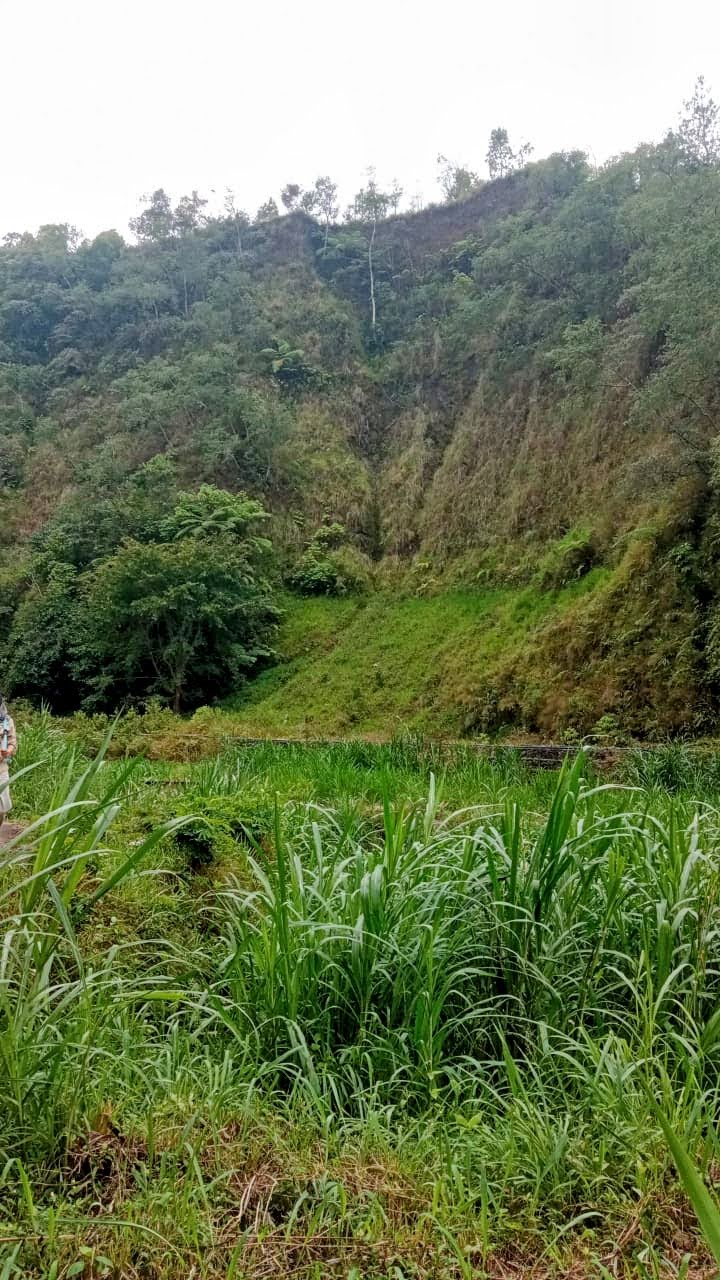 Wisata Camping di Plunyon Kalikuning - yogya.info